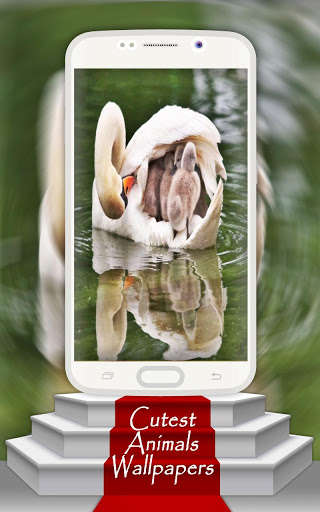 Cutest Animals Wallpapers online game with UptoPlay