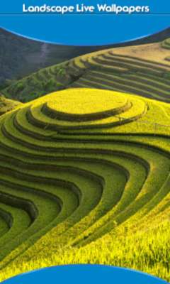 Landscape Live Wallpapers online game with UptoPlay