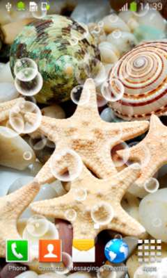 Seashell Live Wallpapers online game with UptoPlay