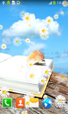 Seashell Live Wallpapers online game with UptoPlay