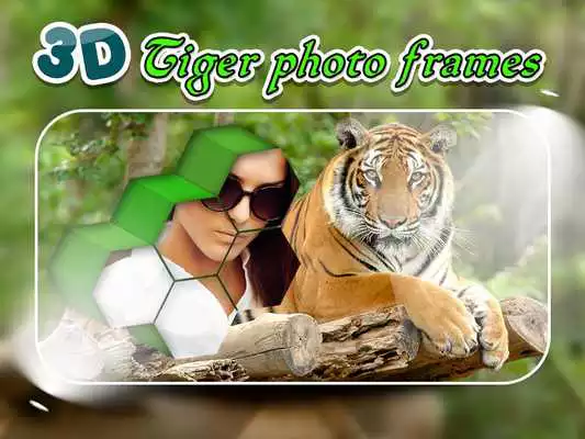 3D Tiger Photo Frames online game with UptoPlay