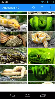 Anaconda HD Wallpapers online game with UptoPlay