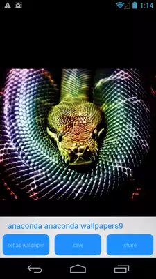 Anaconda HD Wallpapers online game with UptoPlay
