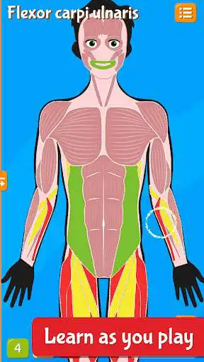 Anatomix - Human Anatomy online game with UptoPlay