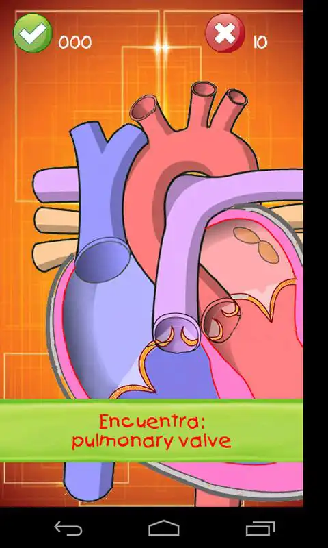 Anatomy4Kids human anatomy online game with UptoPlay