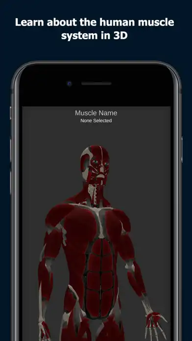 Anatomy of Human Muscles online game with UptoPlay