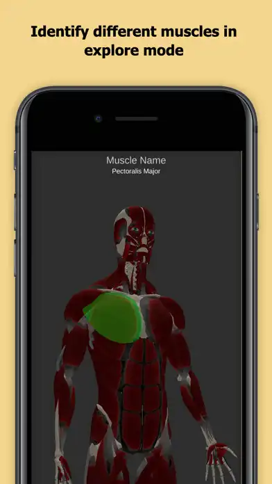 Anatomy of Human Muscles online game with UptoPlay