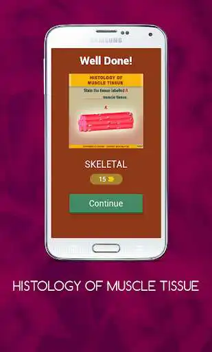Anatomy Online Quiz: Histology Of Muscle Tissue online game with UptoPlay