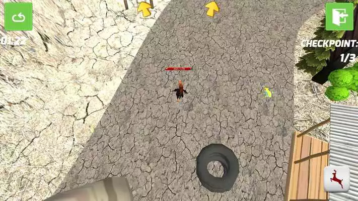 Angry Rooster Simulator online game with UptoPlay