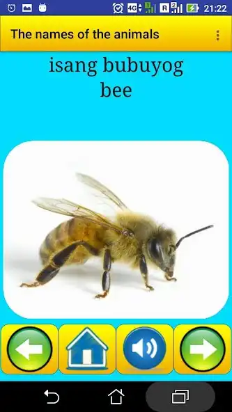 Animal names in Filipino online game with UptoPlay