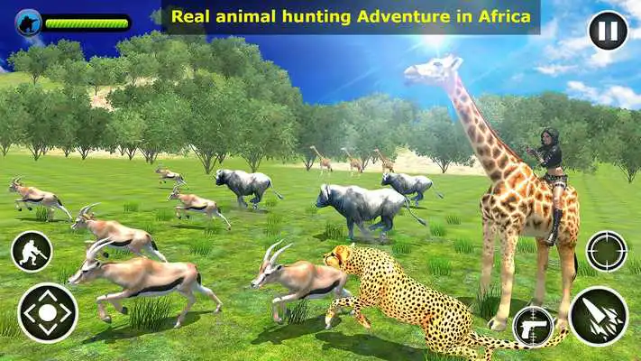 Animal Safari Hunter online game with UptoPlay