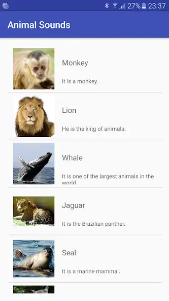Animals Sounds - Beta online game with UptoPlay