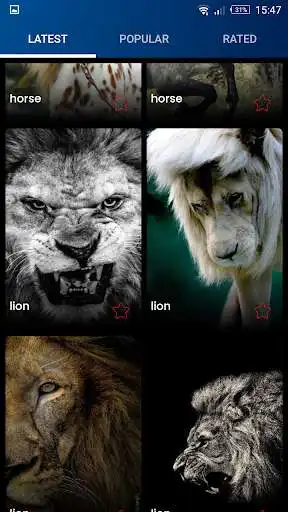 Игра «Животные обои HD» онлайн с UptoPlay