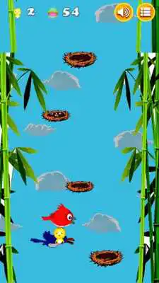 Birds Fania online game with UptoPlay