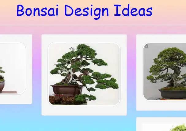 Bonsai Design Ideas online game with UptoPlay
