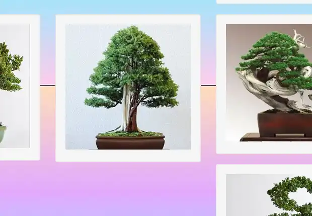 Bonsai Design Ideas online game with UptoPlay
