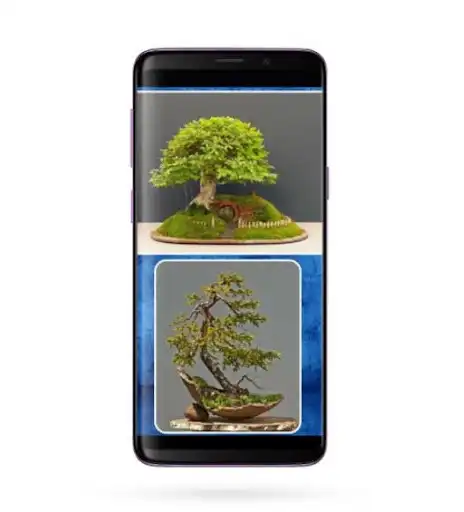 Bonsai Design Inspiration online game with UptoPlay