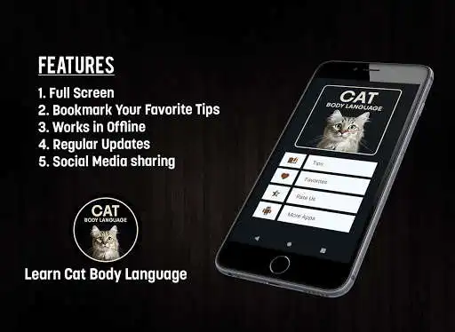 Cat Body Language online game with UptoPlay