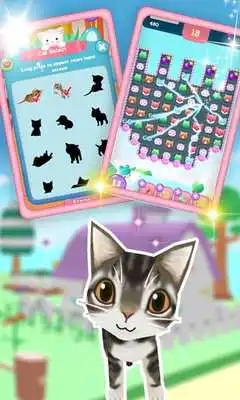 Cat Life online game with UptoPlay