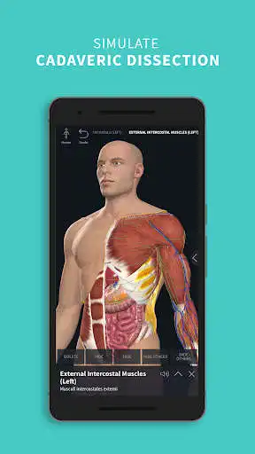 Complete Anatomy 2022 online game with UptoPlay