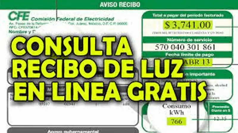 Consultar Recibo De Luz