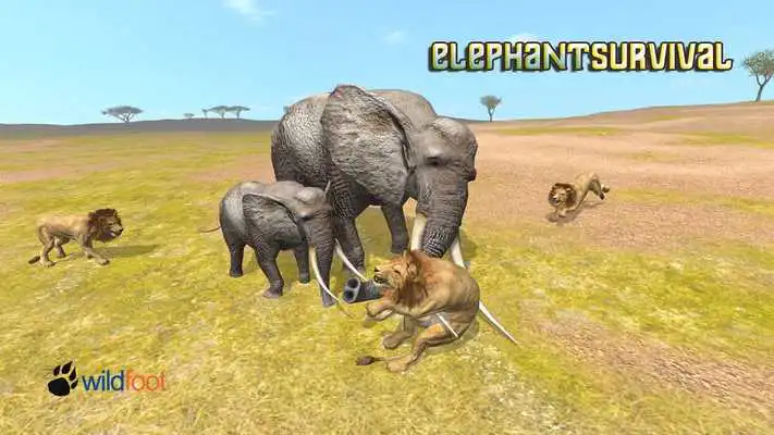 Elephant Survival Simulator online game with UptoPlay