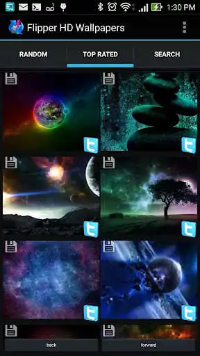 Flipper HD Wallpapers online game with UptoPlay