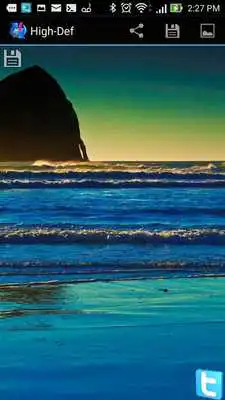 Flipper HD Wallpapers online game with UptoPlay