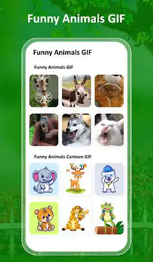 Funny Animals GIF online game with UptoPlay
