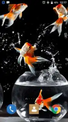 Goldfish HD Live Wallpaper online game with UptoPlay