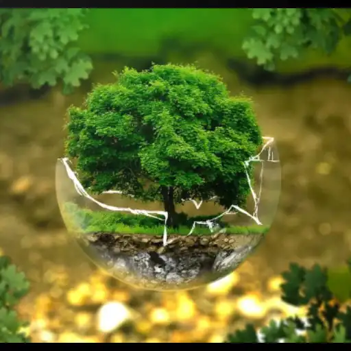 Grade 1 CBC Environment Notes online game with UptoPlay