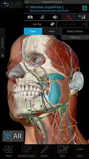 Human Anatomy Atlas 2021: Complete 3D Human Body online game with UptoPlay