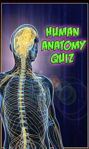 Human Anatomy Education Quiz online game with UptoPlay