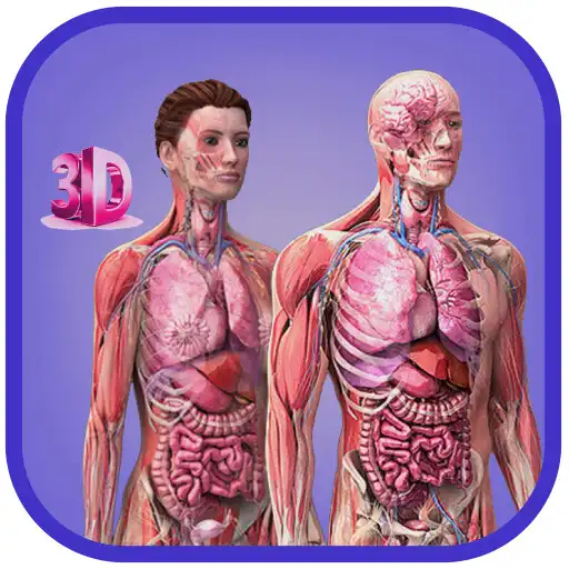 Human Anatomy:Female Male Anatomy Learning online game with UptoPlay