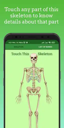 Human Skeleton 3D ( Anatomy ) online game with UptoPlay