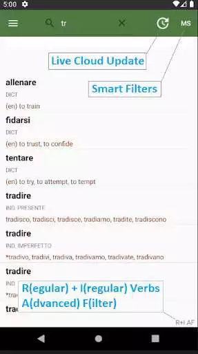 ITALIAN IRREGULAR VERBS CONJUGATION + PREPOSITIONS online game with ...