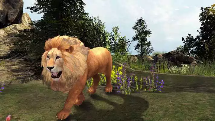 Lion Simulator : Hunting Games online game with UptoPlay