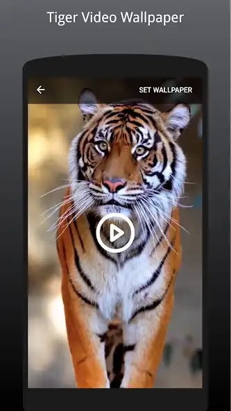 Live Video Wallpaper online game with UptoPlay