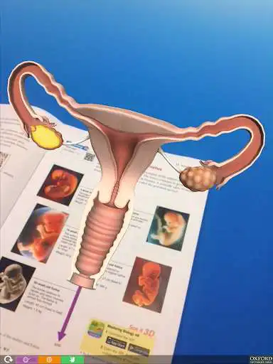 Mastering Biology AR online game with UptoPlay