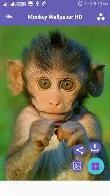 Monkey 4K Wallpaper online game with UptoPlay