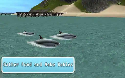 Ocean Dolphin Simulator 3D online game with UptoPlay
