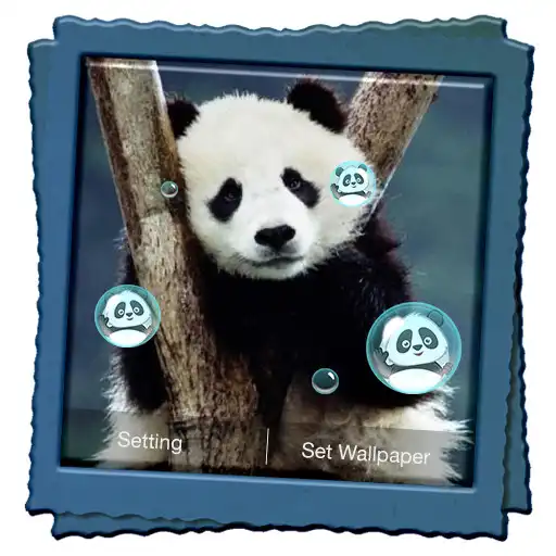 Panda Live Wallpaper online game with UptoPlay