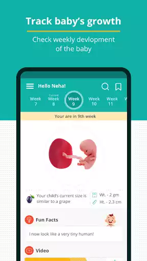 Pregnancy and Baby Tracker App online game with UptoPlay