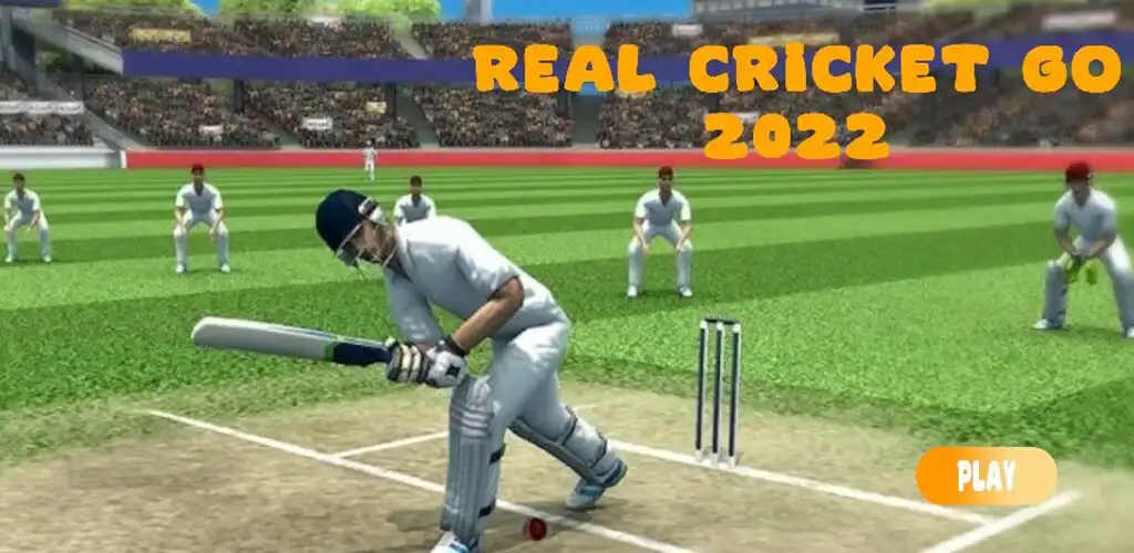 Real Cricket GO Paradox online game with UptoPlay