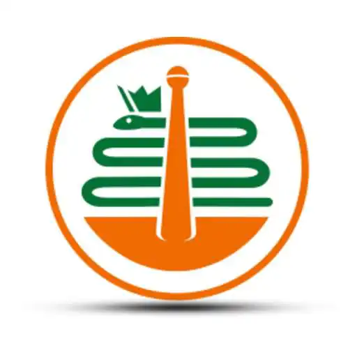 Seif Pharmacy online game with UptoPlay