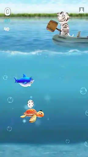 Shark GO online game with UptoPlay