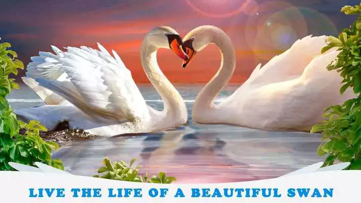 Swan Simulator 3D - City Bird Fly Game online game with UptoPlay