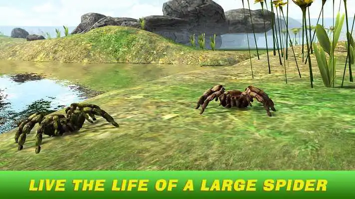 Tarantula Simulator 3D online game with UptoPlay