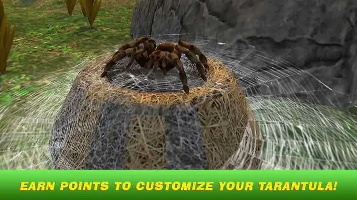Tarantula Simulator 3D online game with UptoPlay