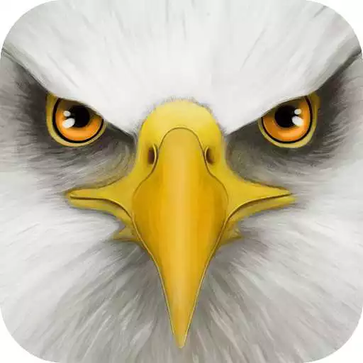 Ultimate Bird Simulator online game with UptoPlay